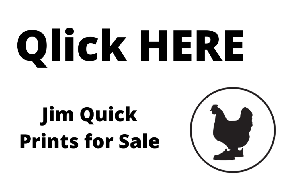 Store | Jim Quick & Coastline